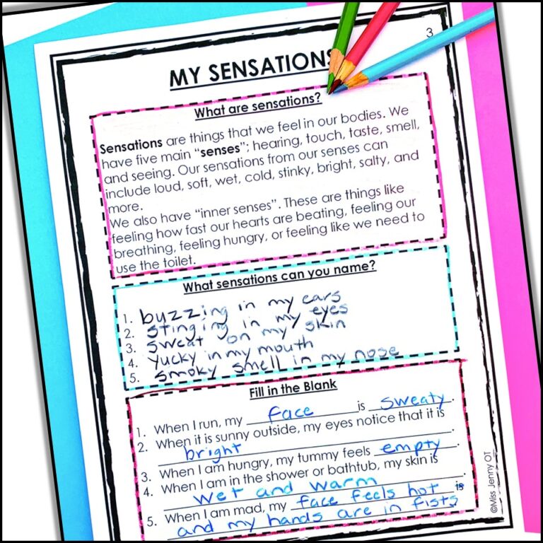 Self Regulation Assessment for Children - Miss Jenny OT