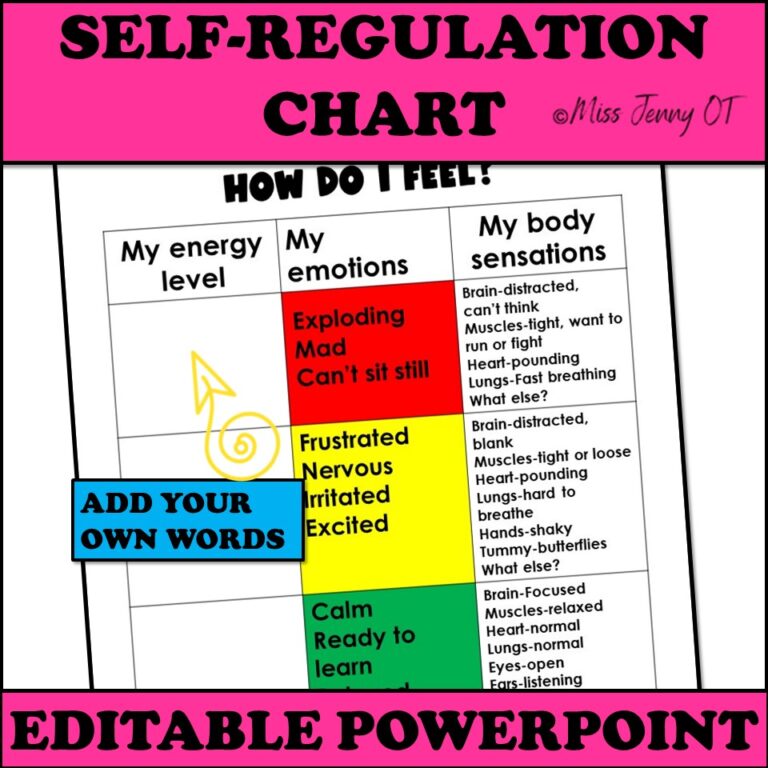 Self Regulation Check-In Sensory Diet Bundle - Miss Jenny OT
